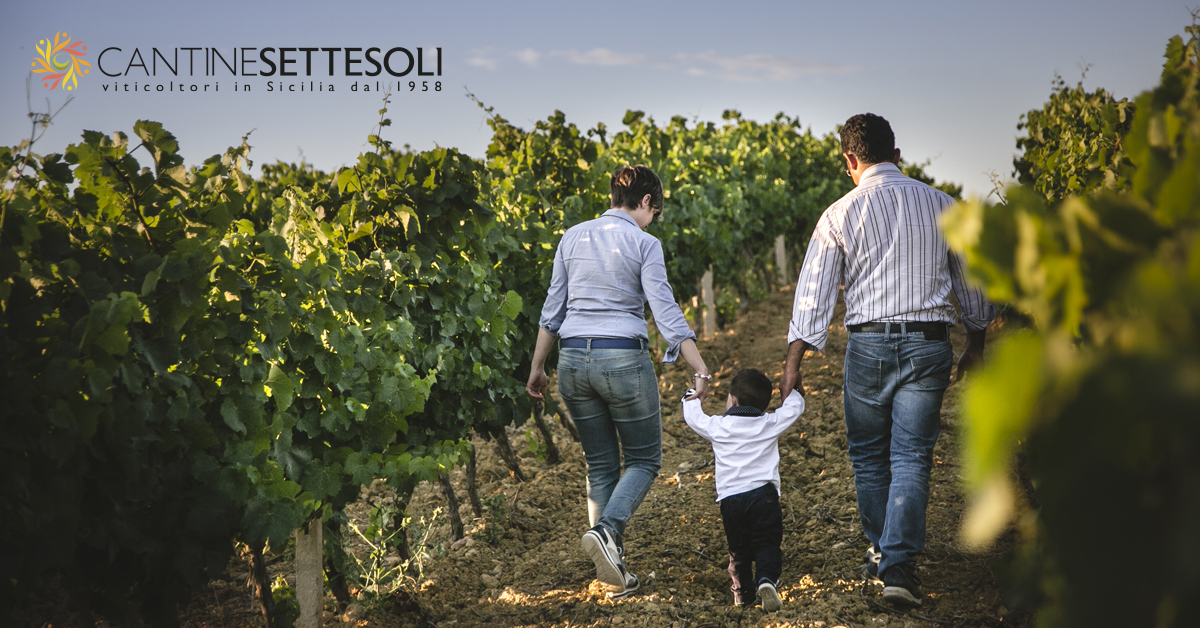 Cantine Settesoli: tradizione e ricerca, versatilità e impegno ...